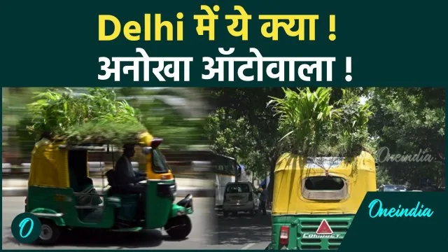 Delhi की सड़कों पर चलता-फिरता Garden देख सब हैरान, Auto Driver का Video ...
